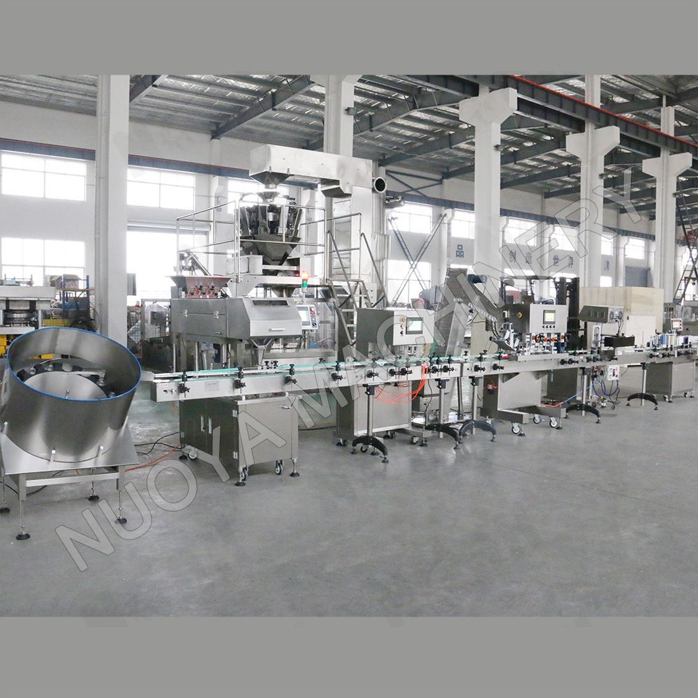 GS-8/16 Automatic Tablet Capsule Counting & Filling Production Line | NOAH