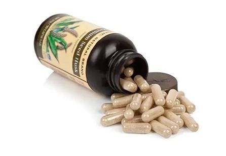 GS-8/16 Automatic Tablet Capsule Counting & Filling Production Line | NOAH