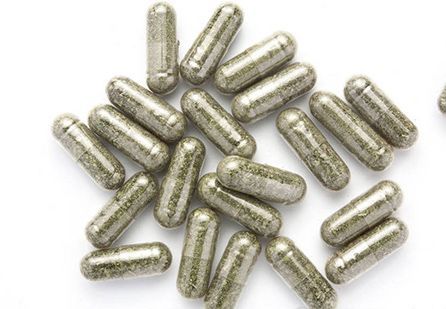 NJP2000/2500/3800 Automatic Capsule Filling Machine | NOAH